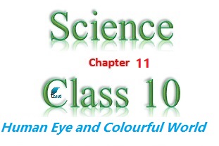 NCERT-Solutions-Class-10-Science-Chapter-11 | Tiwari Academy - Free ...