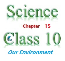 NCERT-Solutions-Class-10-Science-Chapter-15 | Tiwari Academy - Free ...