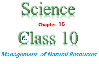 NCERT-Solutions-Class-10-Science-Chapter-16 | Tiwari Academy - Free ...