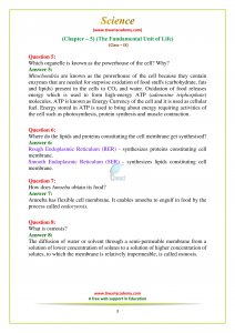 9Science-NcertSolutions-chapter-5-exercises-3 | Tiwari Academy - Free ...