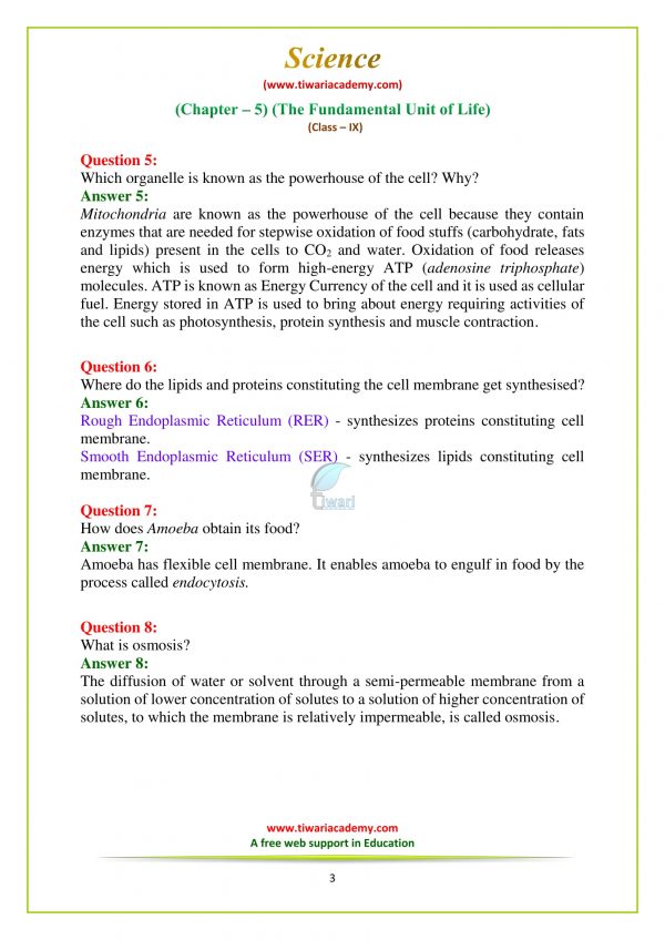 9Science-NcertSolutions-chapter-5-exercises-3 | Tiwari Academy - Free ...
