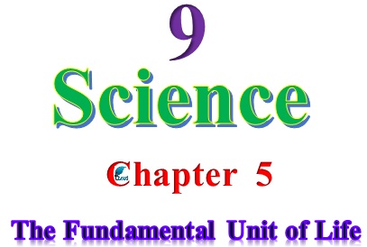 NCERT-Solutions-Class-9-Science-Chapter-5-PDF | Tiwari Academy - Free ...
