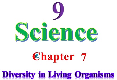 NCERT-Solutions-Class-9-Science-Chapter-7-PDF | Tiwari Academy - Free ...