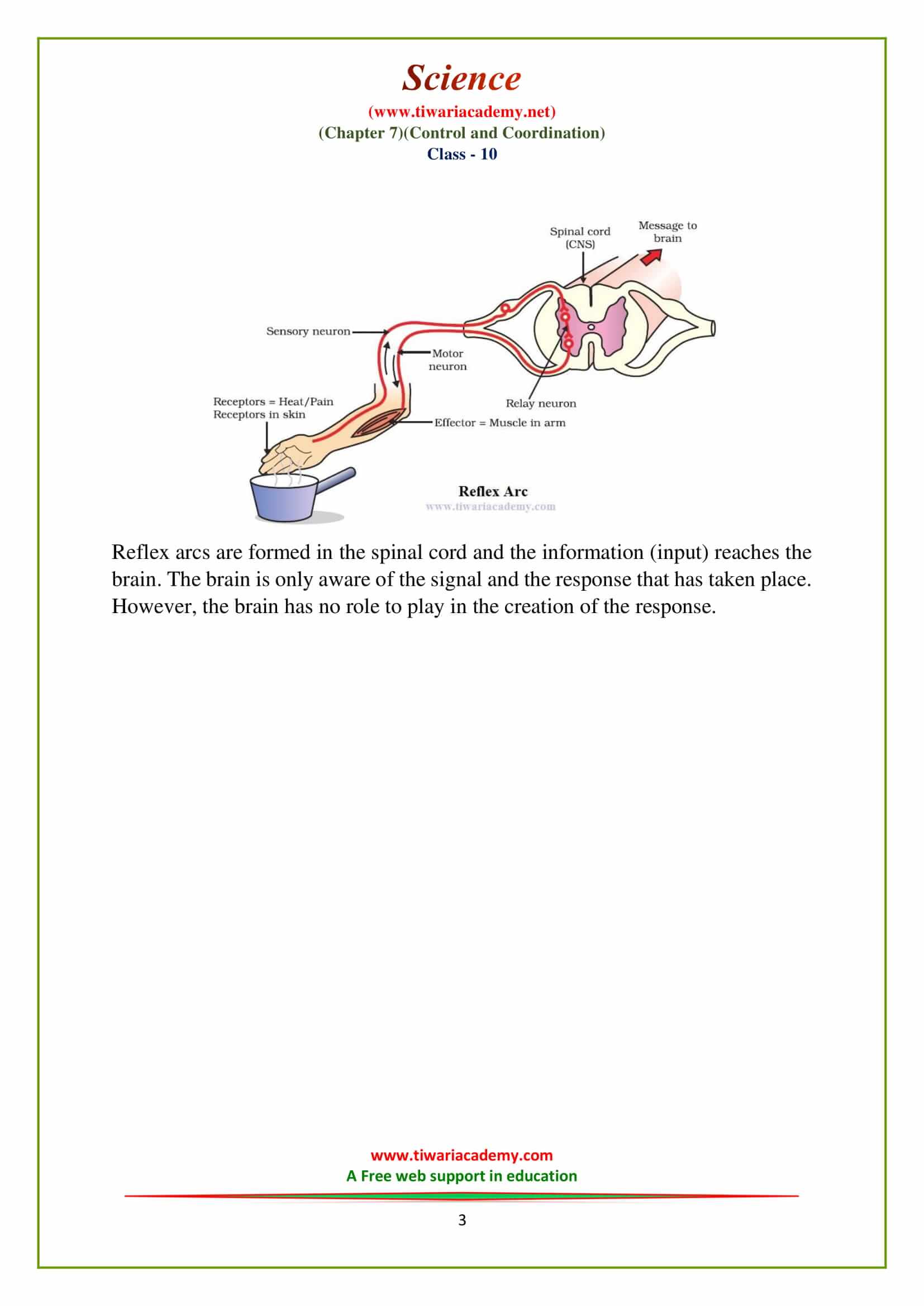 NCERT Solutions for Class 10 Science Chapter 7 updated for 2022-23 PDF