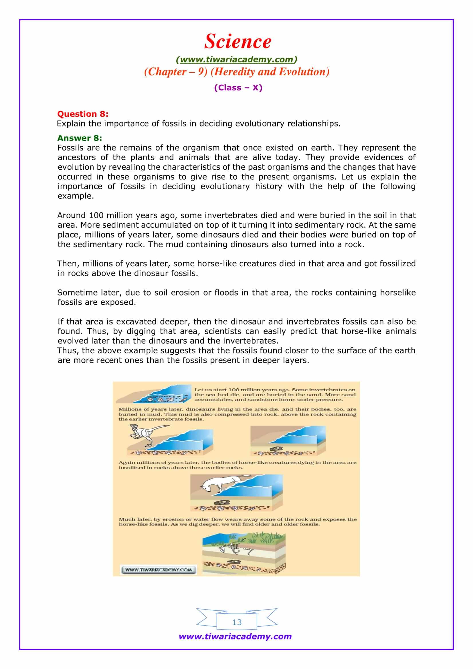NCERT Solutions for Class 10 Science Chapter 9 in PDF for 2022-23.