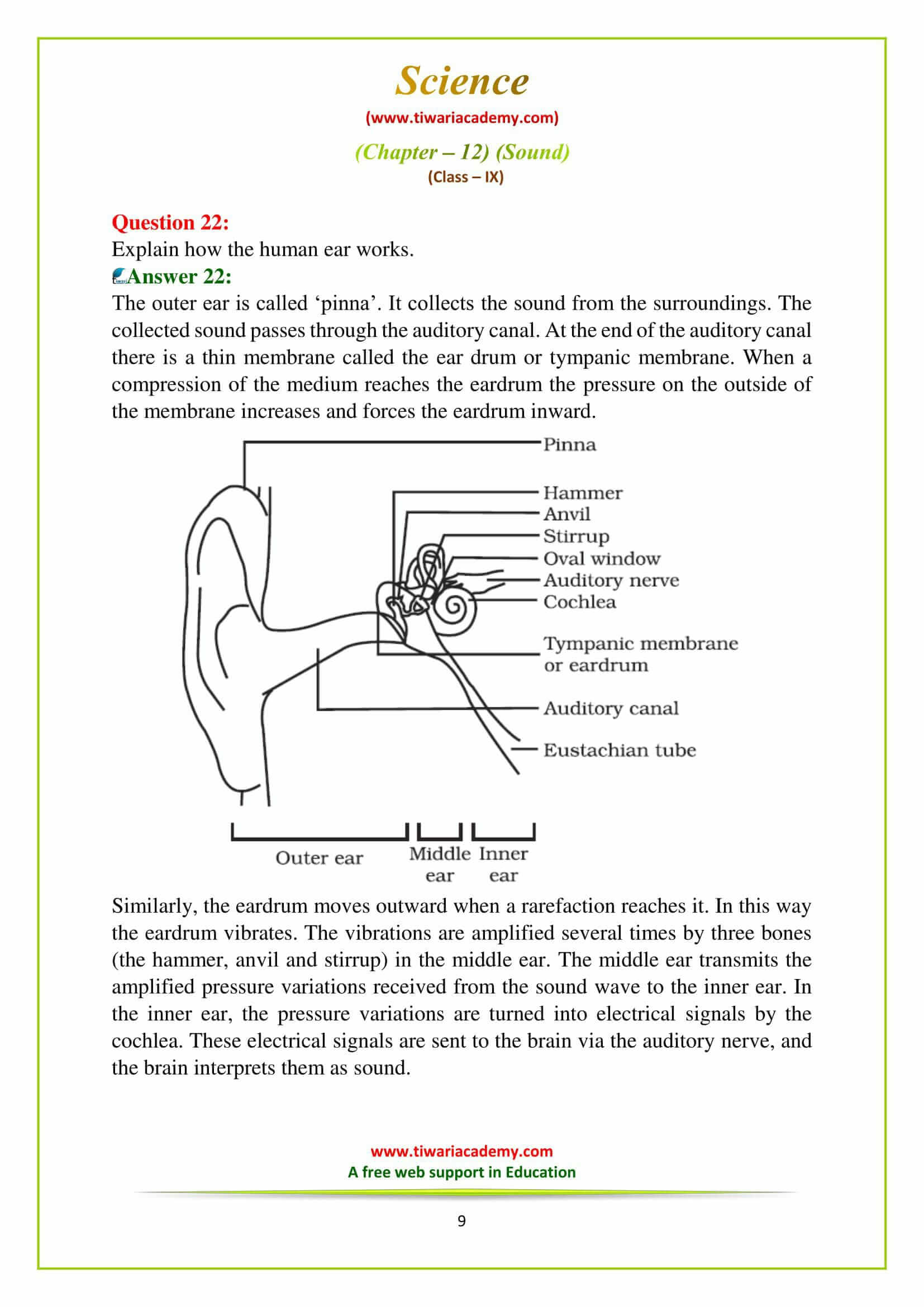 NCERT Solutions for Class 9 Science Chapter 12 Sound in PDF 2022-23.