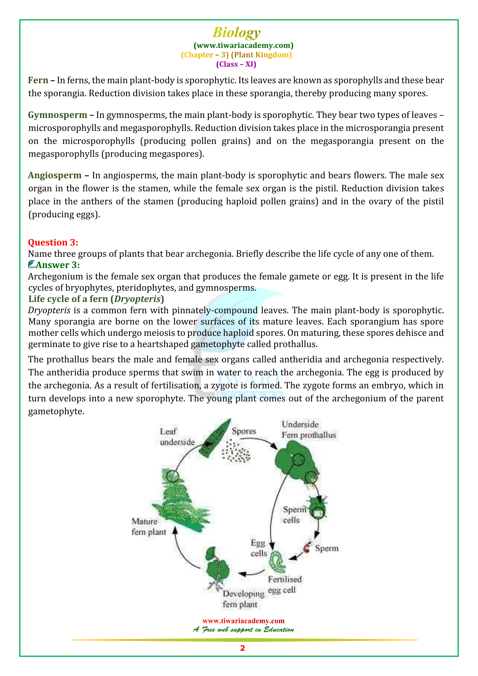Ncert Solutions For Class 11 Biology Chapter 3 Plant Kingdom In Pdf