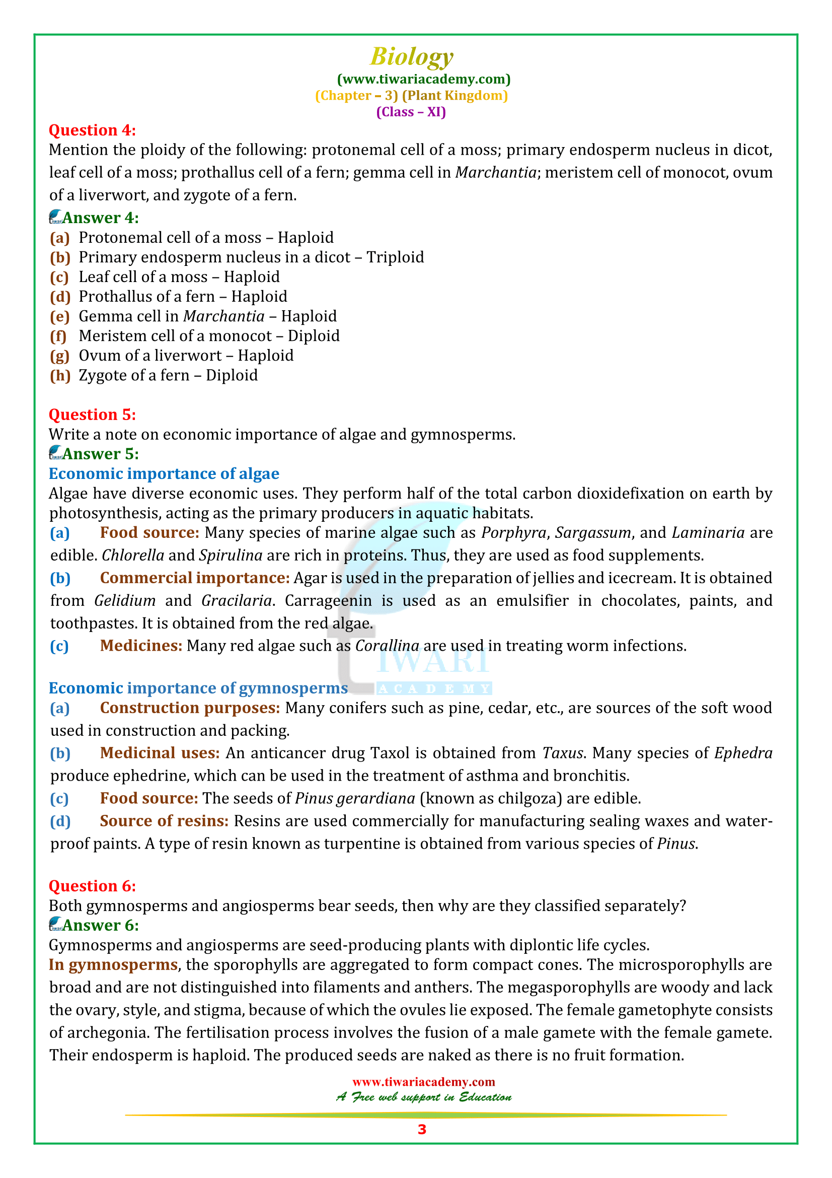 NCERT Solutions for Class 11 Biology Chapter 3 Plant Kingdom