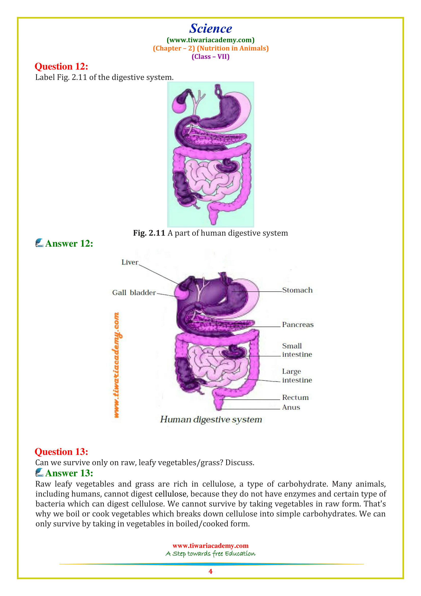 NCERT Solutions for Class 7 Science Chapter 2 Nutrition in Animals