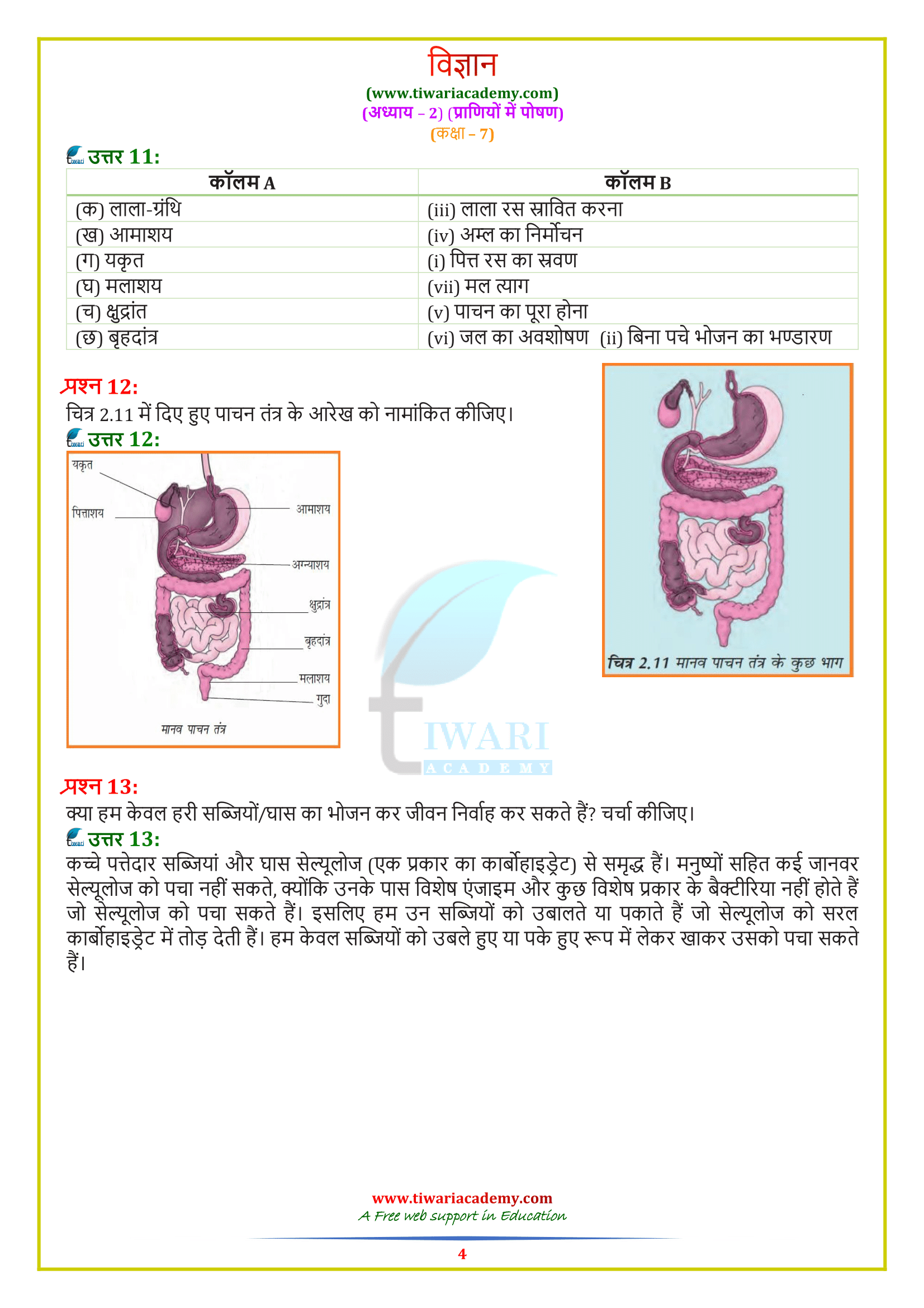NCERT Solutions for Class 7 Science Chapter 2 Nutrition in Animals