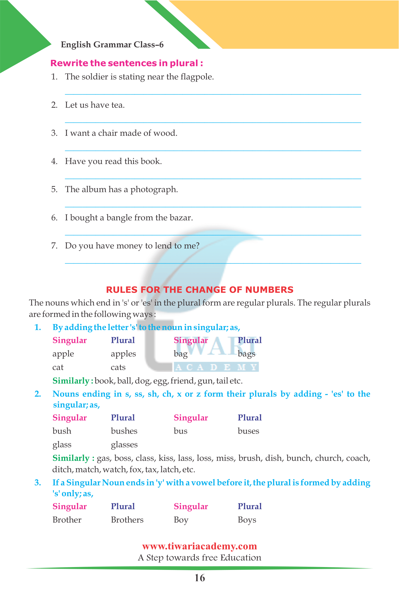 Class 6 English Grammar Chapter 4: The Noun - Numbers, Singular Plural
