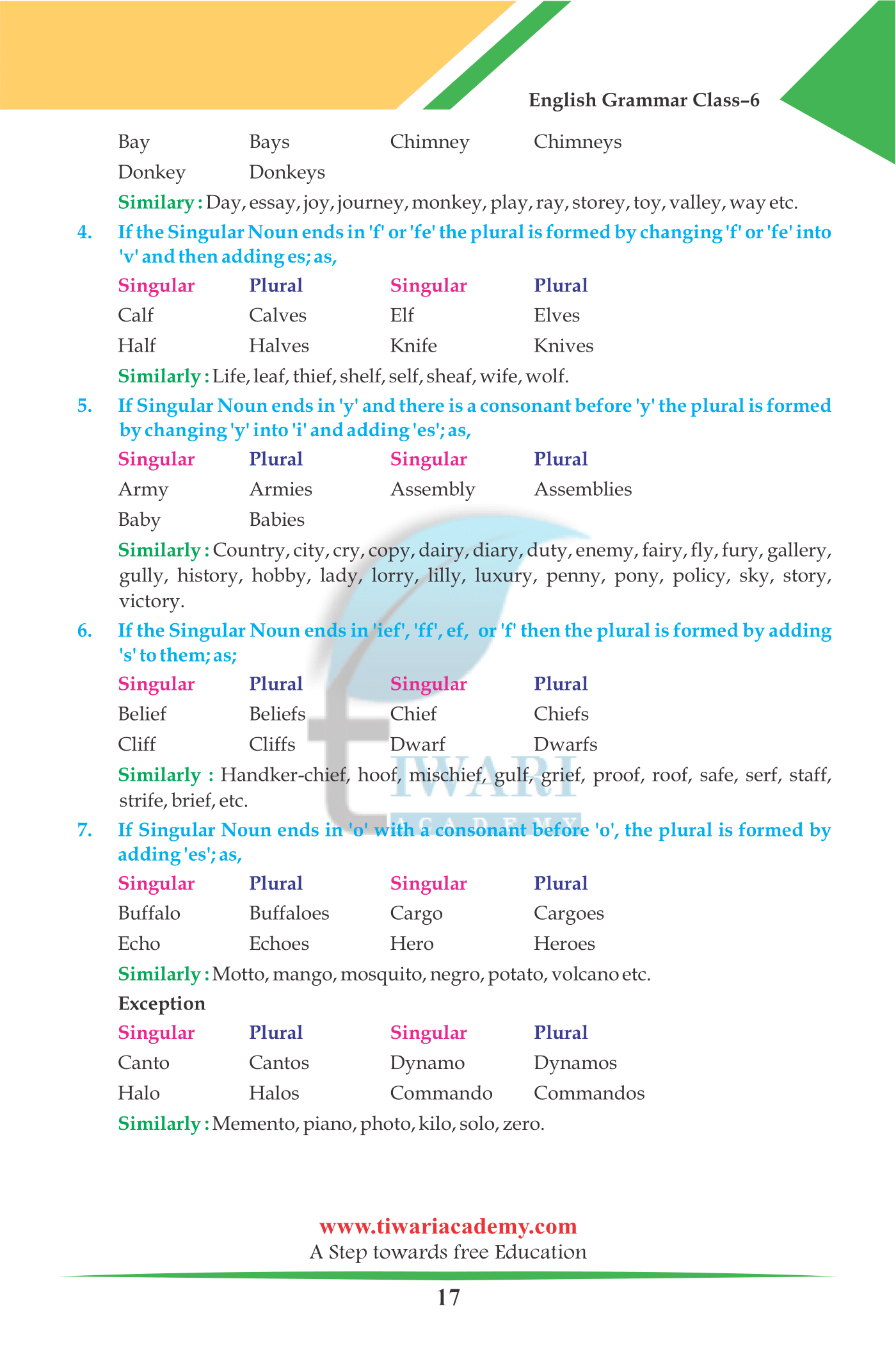 Class 6 English Grammar Chapter 4: The Noun - Numbers, Singular Plural