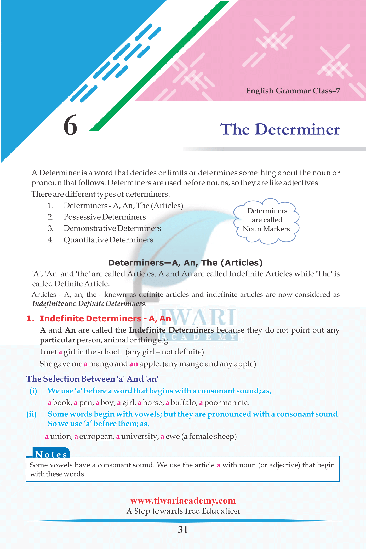 Class 7 English Grammar Chapter 6 The Determiner for session 2022-2023