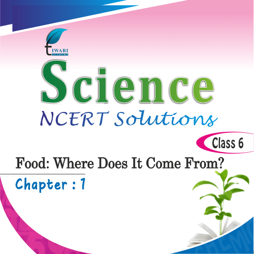 NCERT Solutions for Class 6 Science Chapter 1 in PDF for 2022-2023.