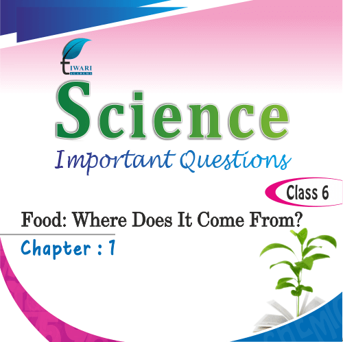 Class 6 Science Chapter 1 Important Questions for 2022-2023.