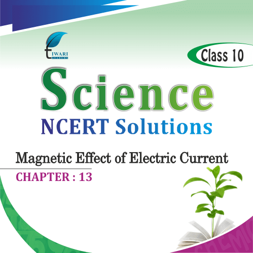 NCERT Solutions for Class 10 Science Chapter 13 for session 2022-23.