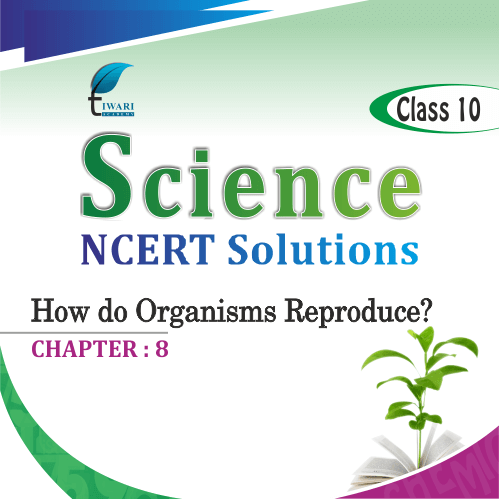 NCERT Solutions for Class 10 Science Chapter 8 in PDF form 2022-23.