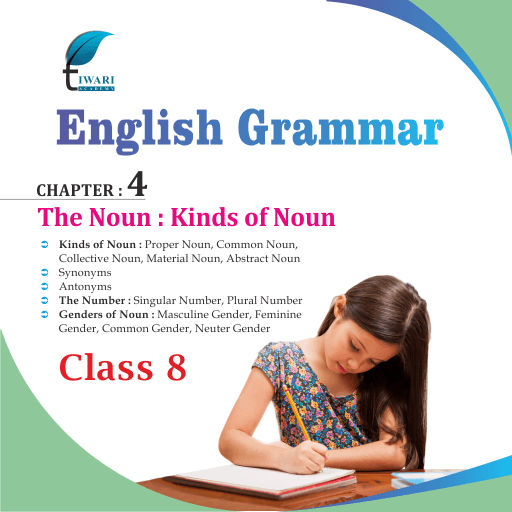Class 8 English Grammar Chapter 4 The Noun for Session 2022-2023