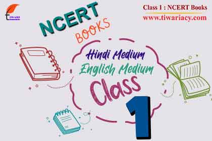 NCERT Solutions Updated For Session 2023-24, 48% OFF