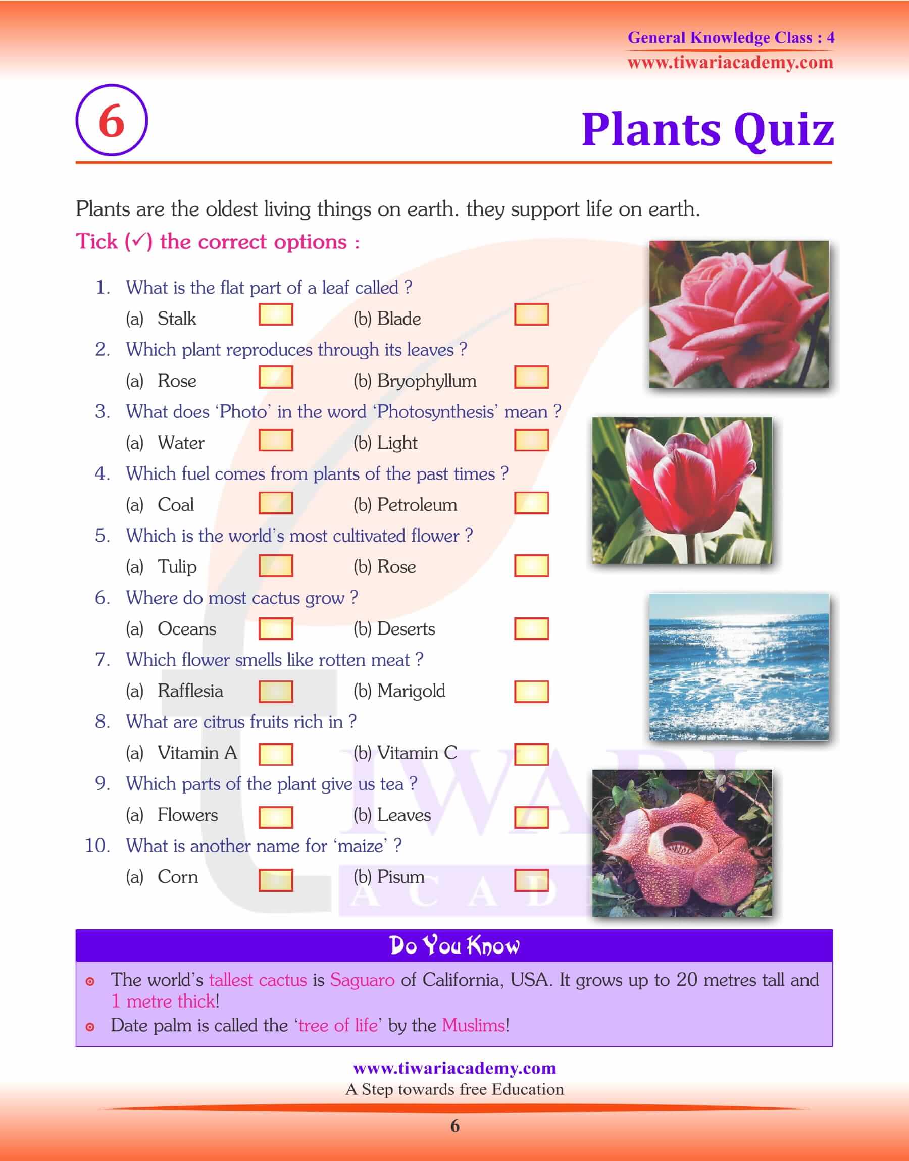Class GK General Knowledge Questions And Answers Book PDF, 55% OFF Class GK General Knowledge Questions And Answers Book PDF, 55% OFF