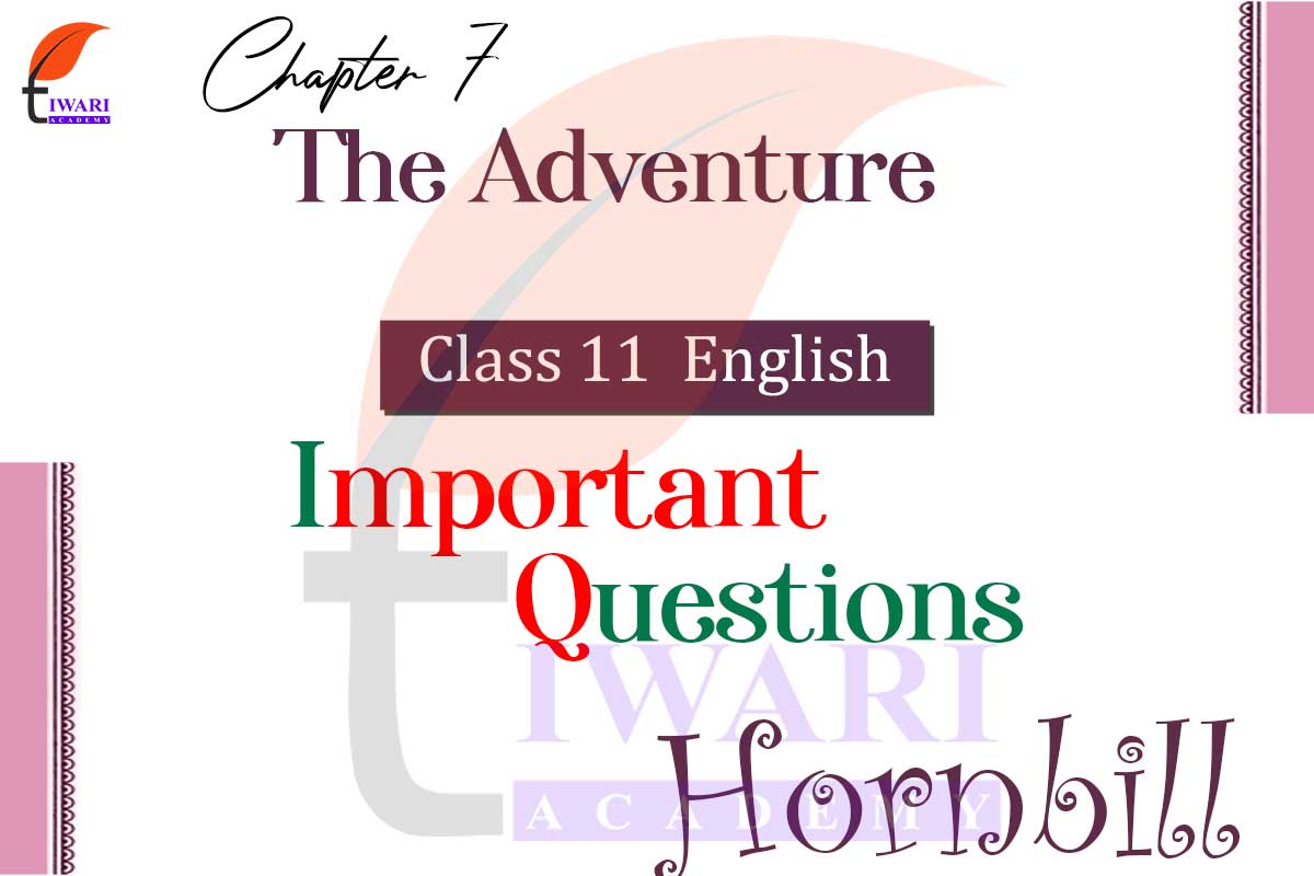 Class 11 English Hornbill Chapter 7 Important Questions The Adventure class-11-english-hornbill-chapter-7-important-questions-the-adventure