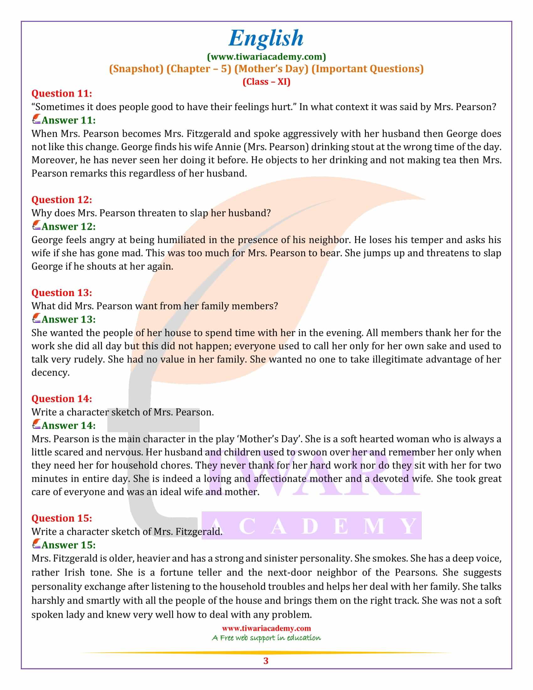 Class 11 English Snapshots Chapter 5 Important Questions Mothers Day