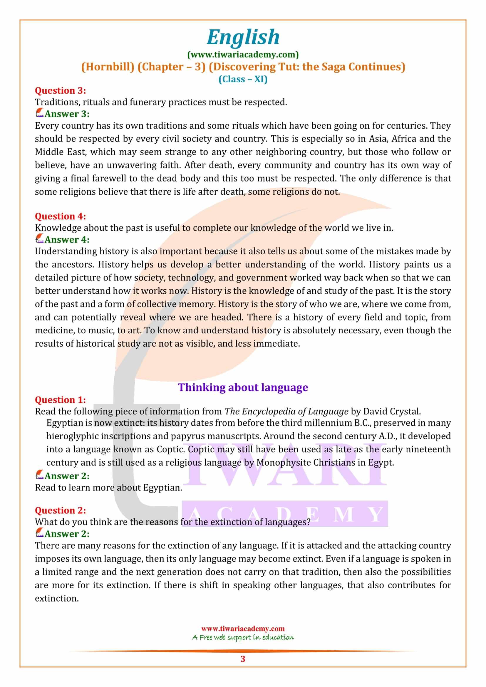 NCERT Solution for Class 11 English Hornbill Chapter 3 Discovering Tut