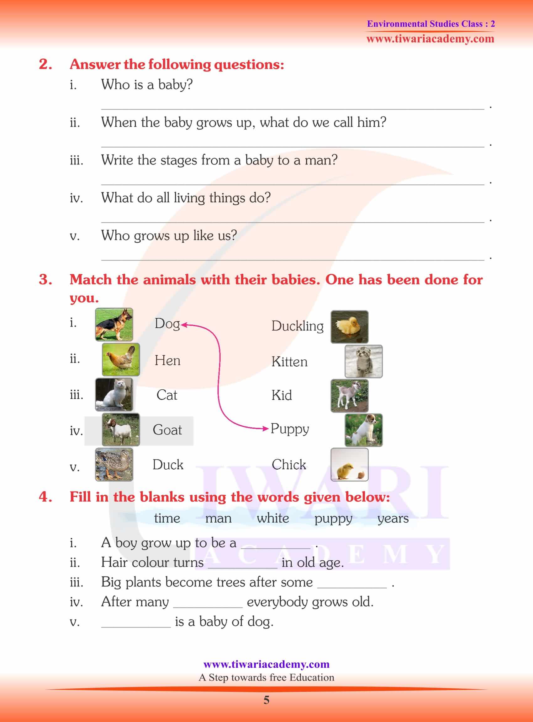 Evs Worksheets For Ukg Community Helpers Worksheets,, 40% OFF Evs Worksheets For Ukg Community Helpers Worksheets,, 40% OFF