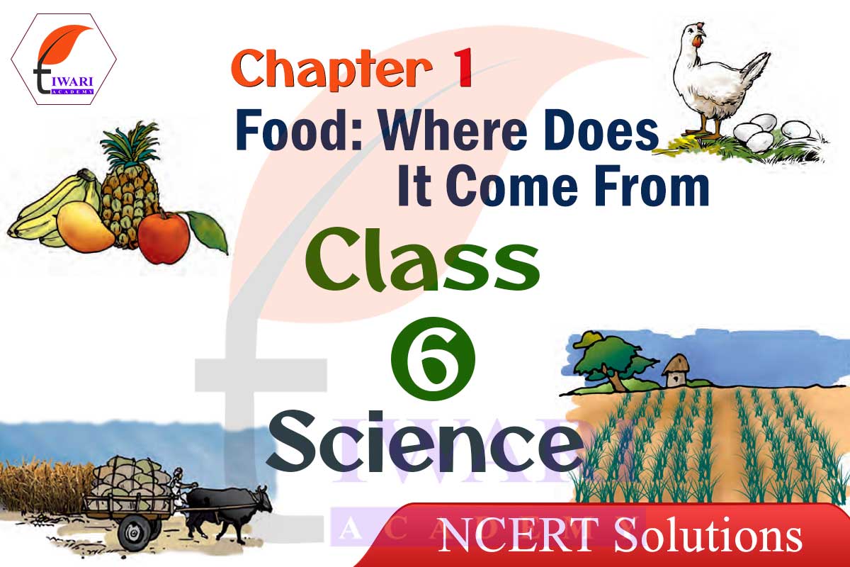 Class 6 Science Chapter 1 Question Answer Food Where Does It Come From
