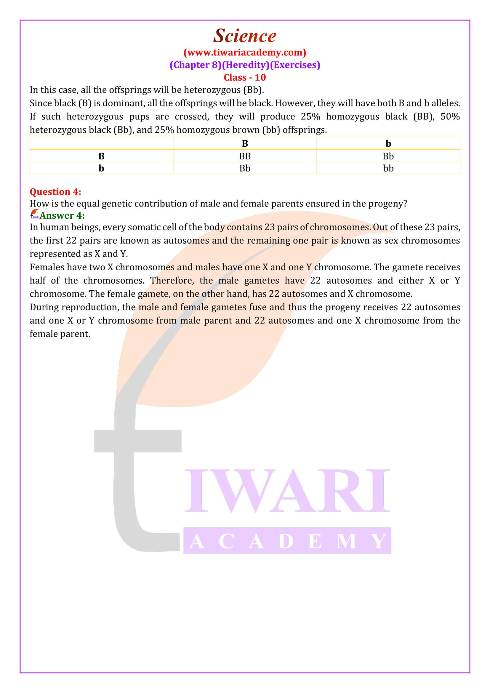 Ncert Solutions For Class 10 Science Chapter 8 Heredity