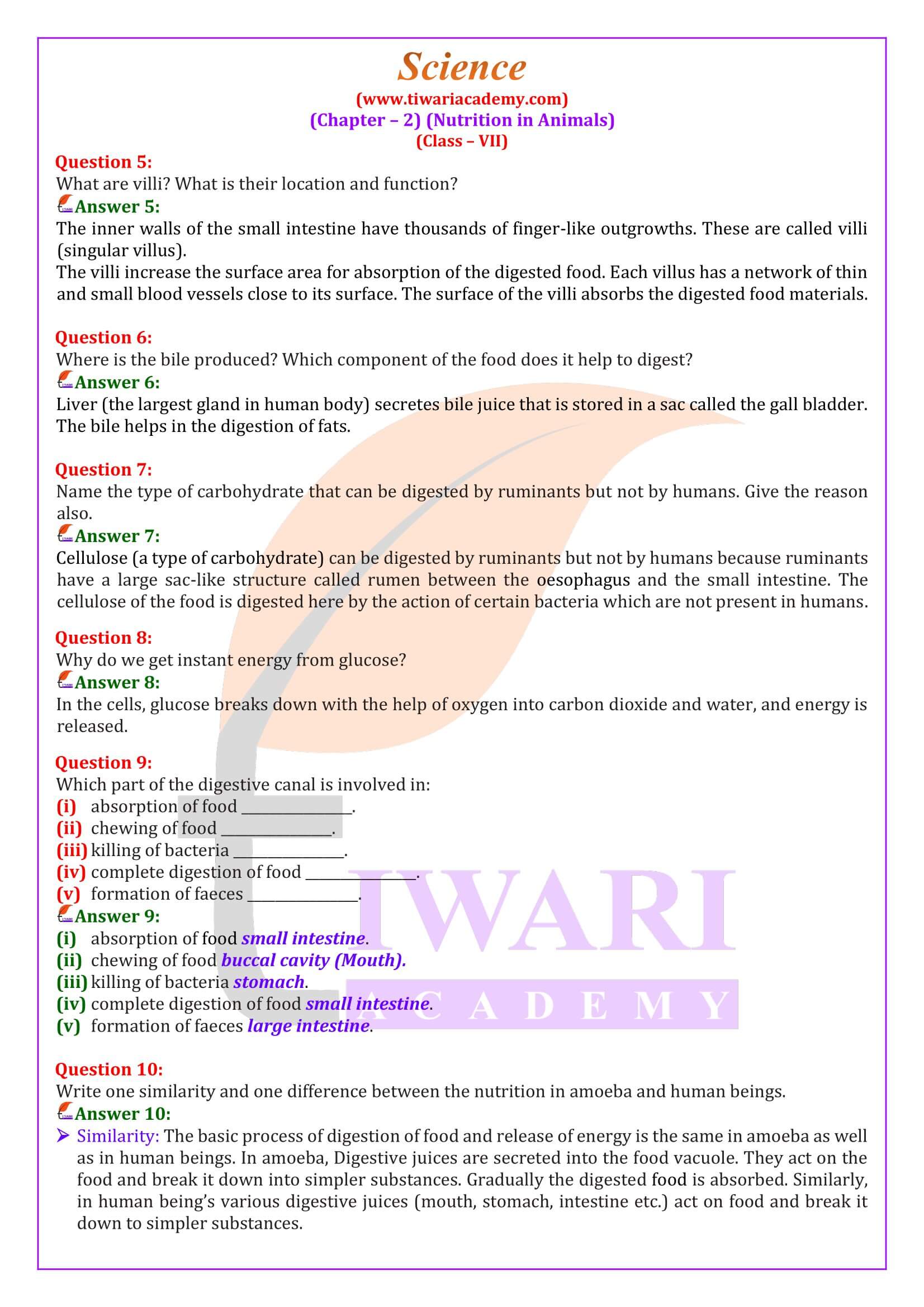NCERT Solutions for Class 7 Science Chapter 2 Nutrition in Animals NCERT Solutions for Class 7 Science Chapter 2 Nutrition in Animals