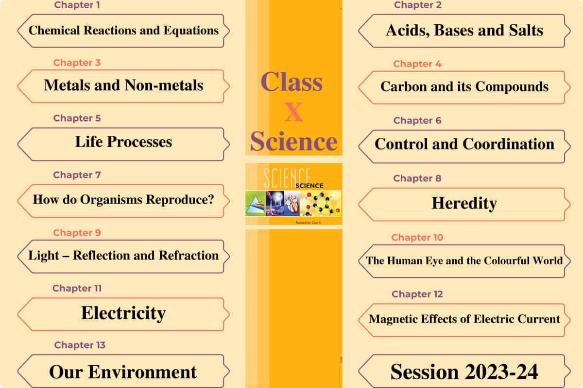 NCERT Books for Class 10 Updated for Session 2024-25 NCERT Books for Class 10 Updated for Session 2024-25