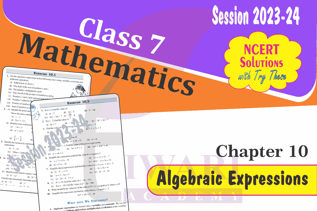 NCERT Solutions for Class 7 Maths Chapter 10 Algebraic Expressions