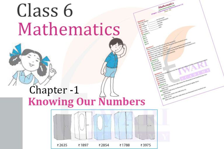 NCERT Class 6 Maths Chapter 1 Knowing Our Numbers Solutions
