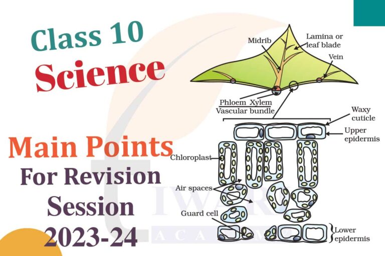 Class 10 Science Board preparation in two months step by step guide.