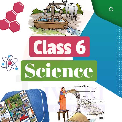 NCERT Solutions for Class 6 Science Updated for Session 2024-25