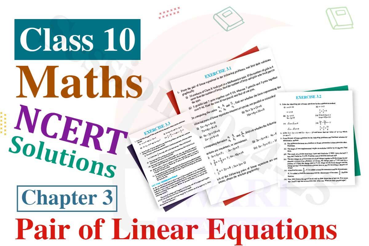 NCERT Exercises Solutions Class 10 Maths Chapter 3 Linear Equations