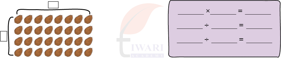 NCERT Solutions for Class 5 Maths Mela Chapter 9 Coconut Farm