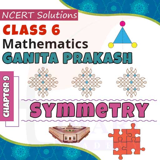 Class 6 Maths Chapter 9 Symmetry Solutions | Ganita Prakash